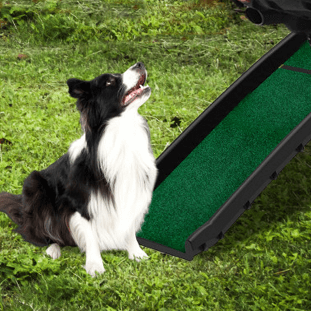 Furtastic Foldable Plastic Dog Ramp with Synthetic Grass – Ramp Champ
