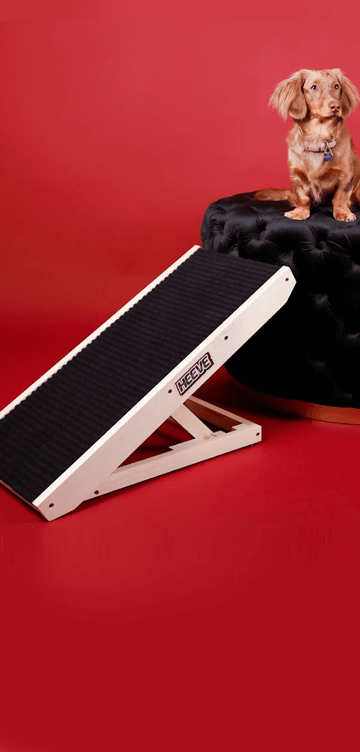 Ramp Champ – Australia's Largest Range of Ramps | RampChamp.com.au