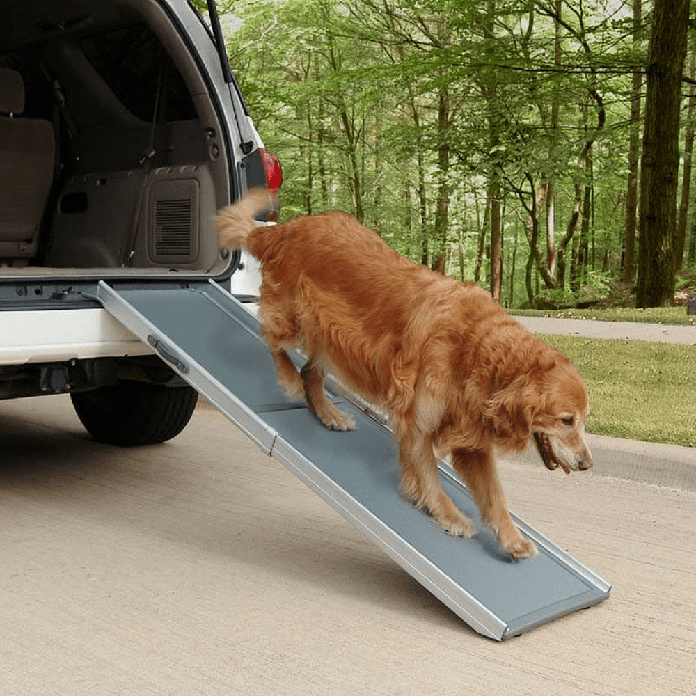 Happy Ride™ Deluxe Telescoping Ramp – Ramp Champ