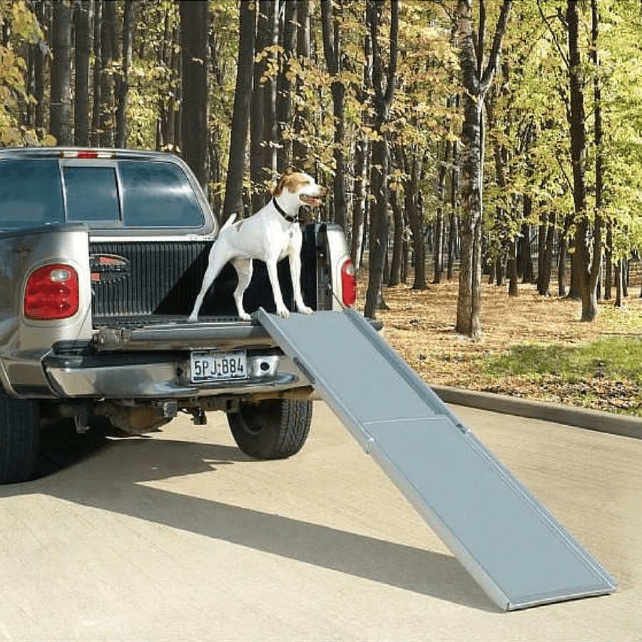 Happy Ride™ Deluxe Telescoping Ramp XL – Ramp Champ